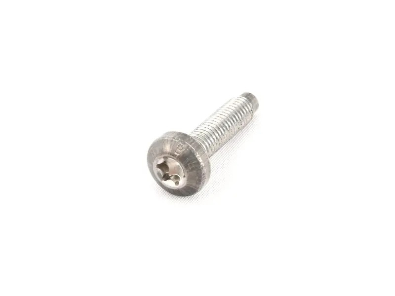 fillister hd. screw - 99907390831 | Design 911