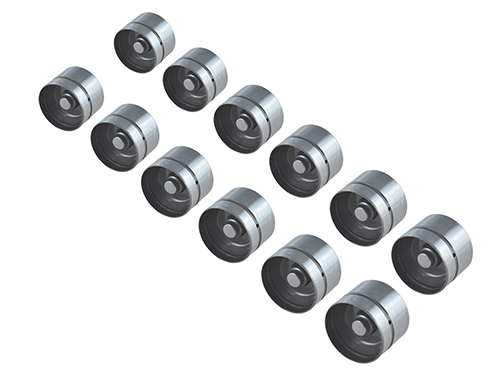 Camshaft hydraulic valve tappet exhaust set of 12. Porsche 987 Boxster ...
