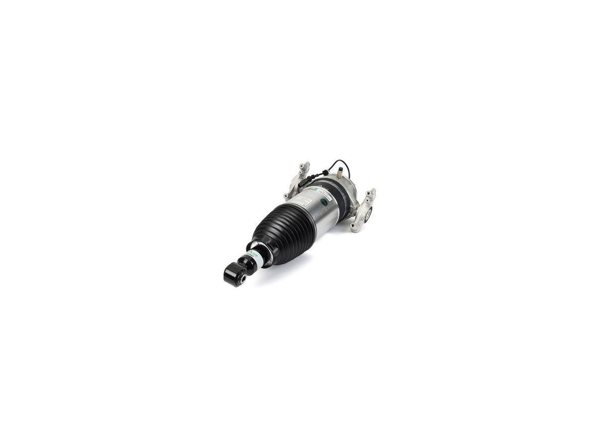 Arnott AS-3166 AS-3167 Rear air suspension shock absorber leg. Porsche ...