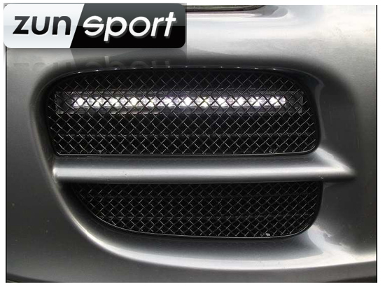 Buy Porsche Cayenne 9PA (955) 2003-2006 Protective Grill | Design 911