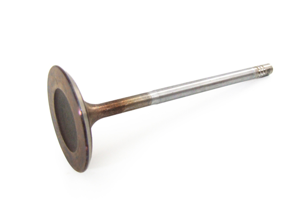 Intake Valve Porsche Cayenne Panamera Macan 94810532102 - 94810532102 ...